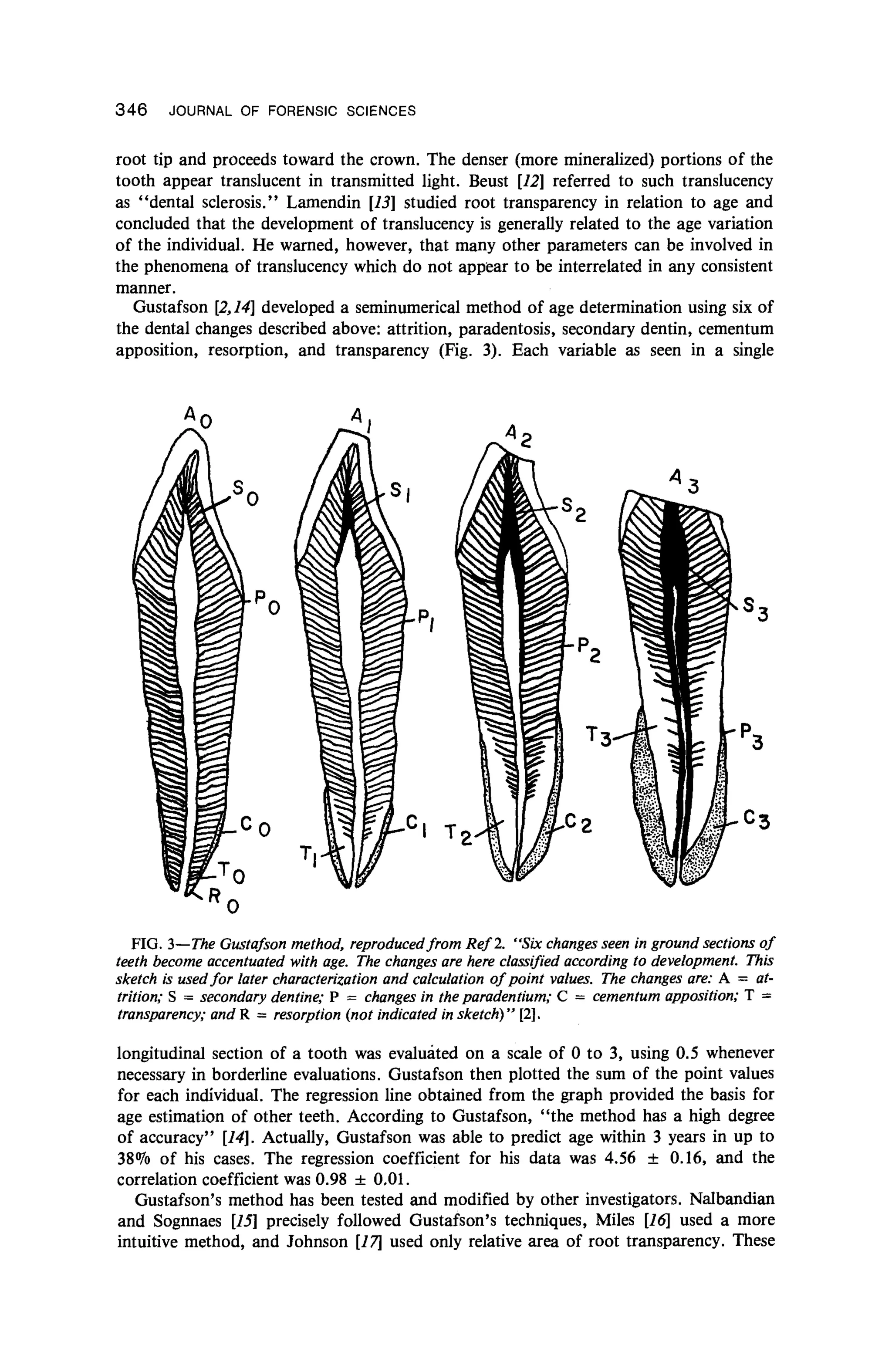 Estimation of Age from Individual Adult Teeth | PDF