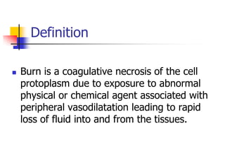 Burns | PPT