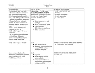 Burns%20 stages phases[1] | PDF