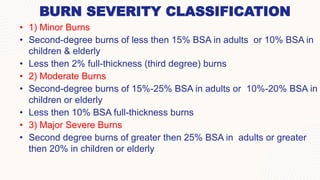 Burns and anesthesia srk.pptx