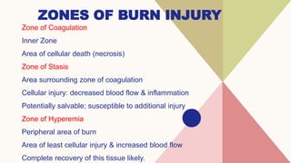 Burns and anesthesia srk.pptx