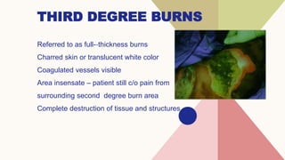 Burns and anesthesia srk.pptx