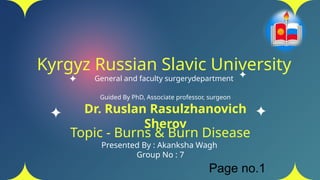 Burns and Burn Diseases how to treat burns.pptx