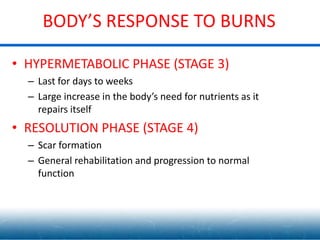 Burns and its management | PPTX | Skin and Dermatology | Diseases and ...