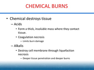 Burns and its management | PPTX