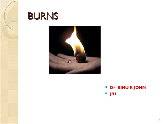 Burns | PPT | Skin and Dermatology | Diseases and Conditions
