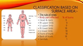 Burns by himasri reddy | PPTX