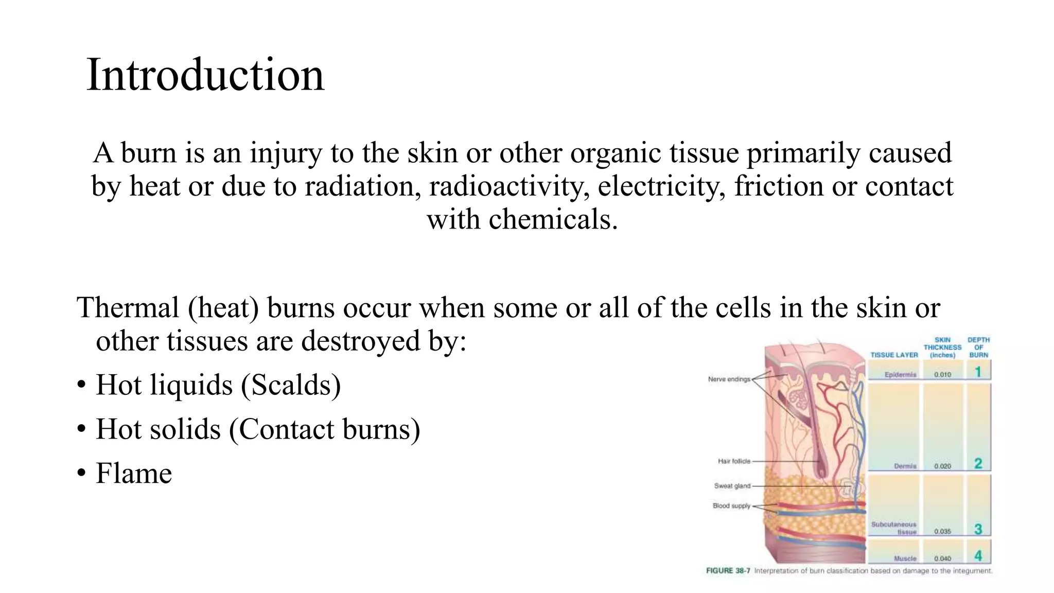 CASE STUDY ON BURNS | PPTX