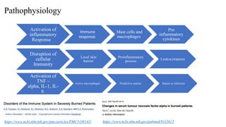 CASE STUDY ON BURNS | PPTX