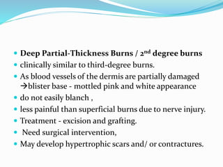 Burns in pediatrics | PPTX