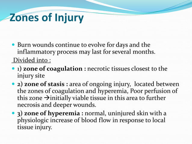 Burns in pediatrics | PPTX
