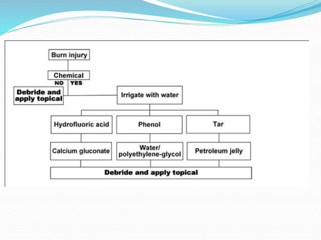 Burns in pediatrics | PPTX