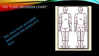 Burns in pediatrics presentation | PPT