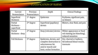 Burns in pediatrics presentation | PPT