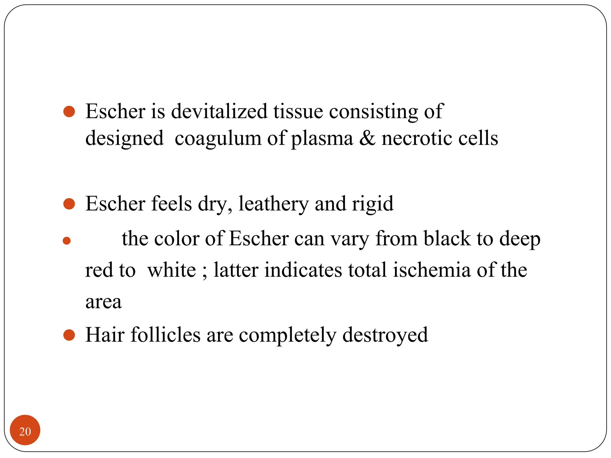 Burns & its Physiotherapy Management..pptx