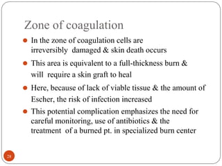 Burns & its Physiotherapy Management..pptx