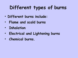 Burns | PPT