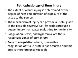 BURNS MANAGEMENT-1.ppt