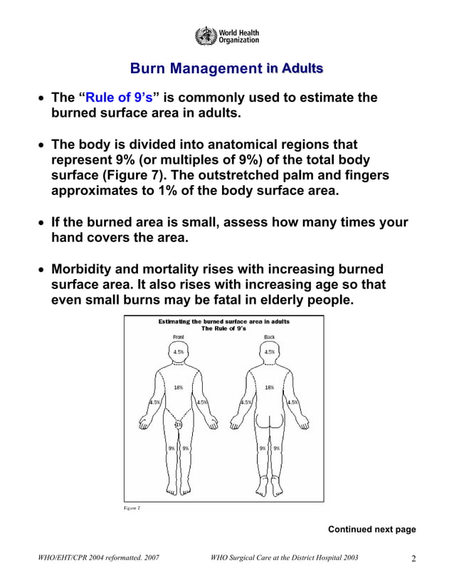 Burns management | PDF