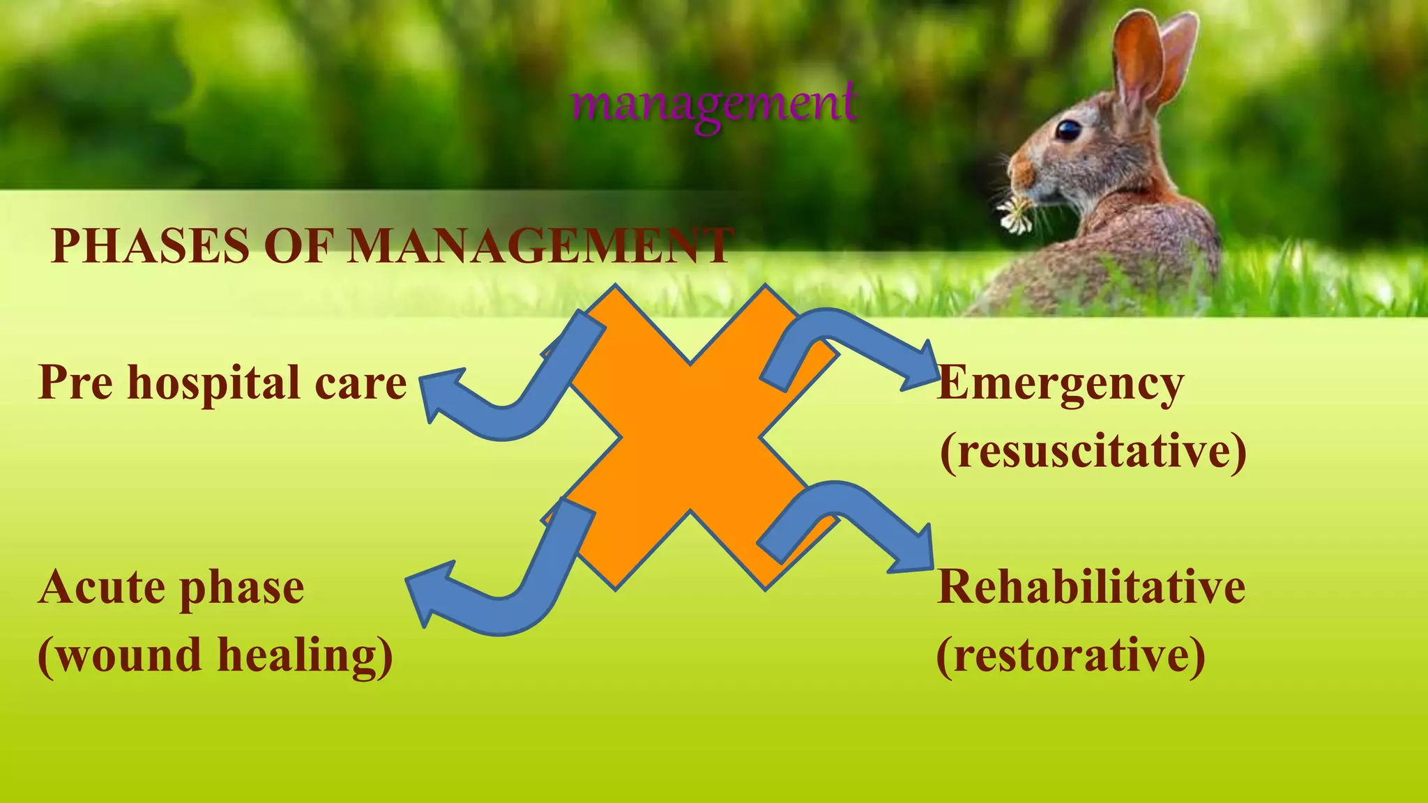 Burns management presentation by 2nd yr MSC nursing student | PPTX