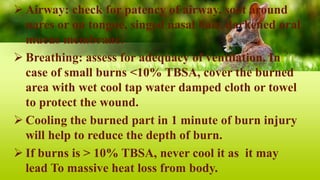 Burns management presentation by 2nd yr MSC nursing student | PPT