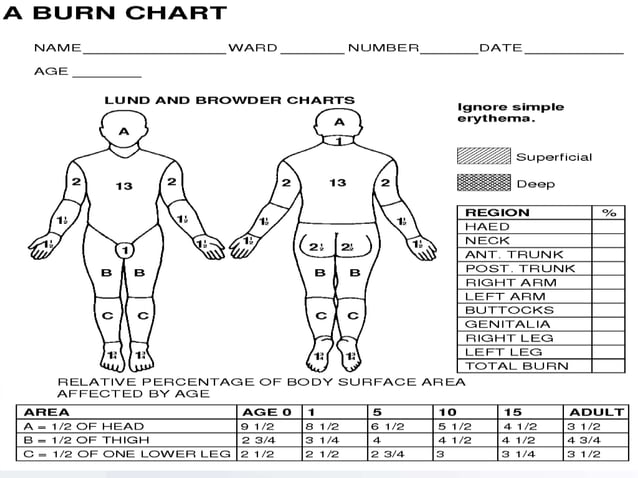 BURNS TYPES AND ITS MANAGEMENT | PPTX | First Aid | Injuries