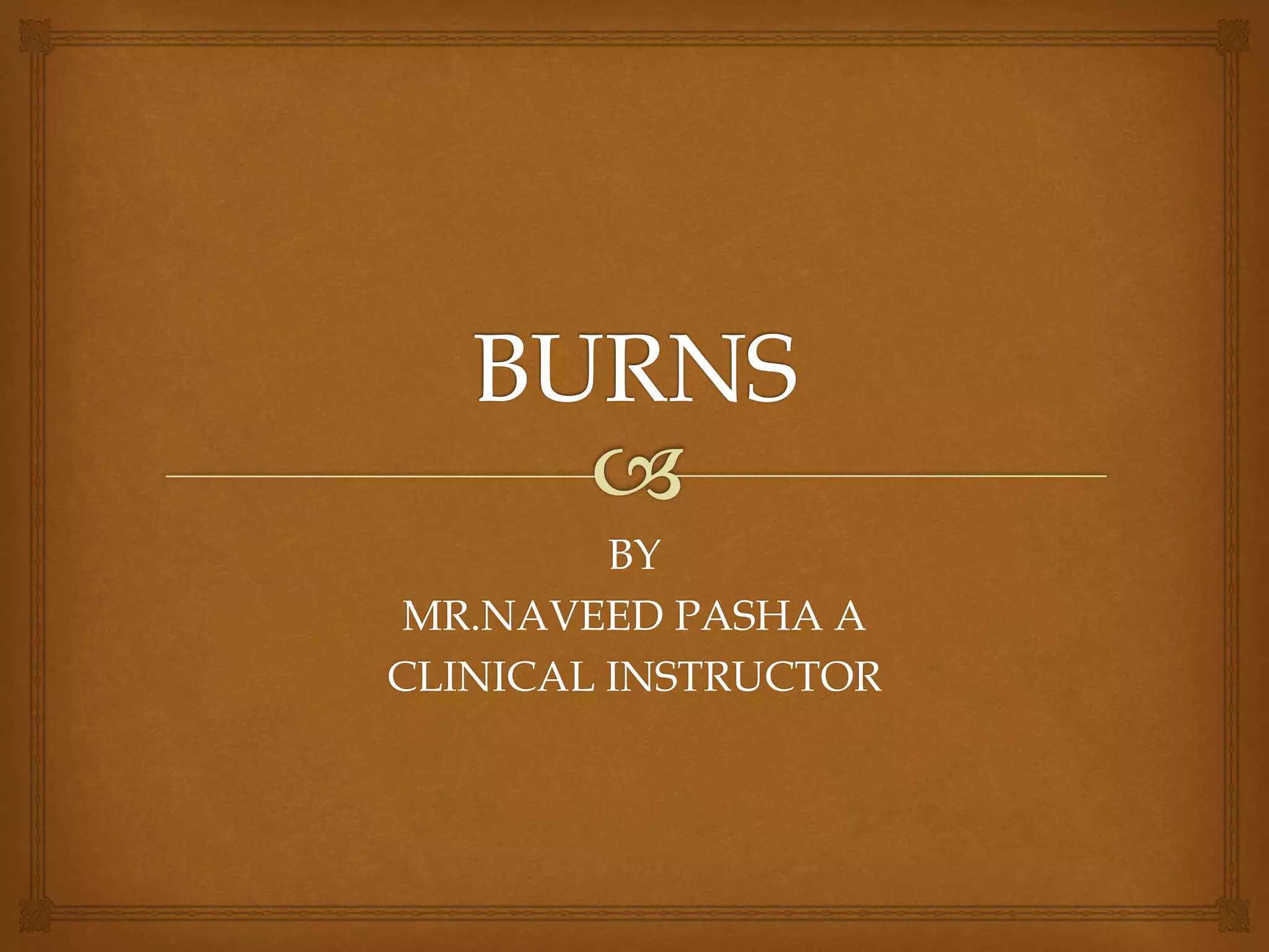 BURNS NEW PPT.pptx