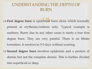 BURNS NEW PPT.pptx