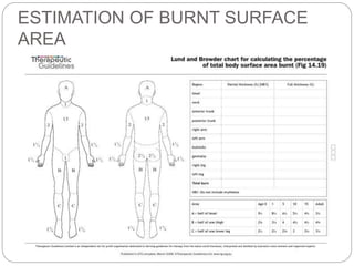 BURNS in Pediatrics patients by Peculiar OLURONKE.pptx