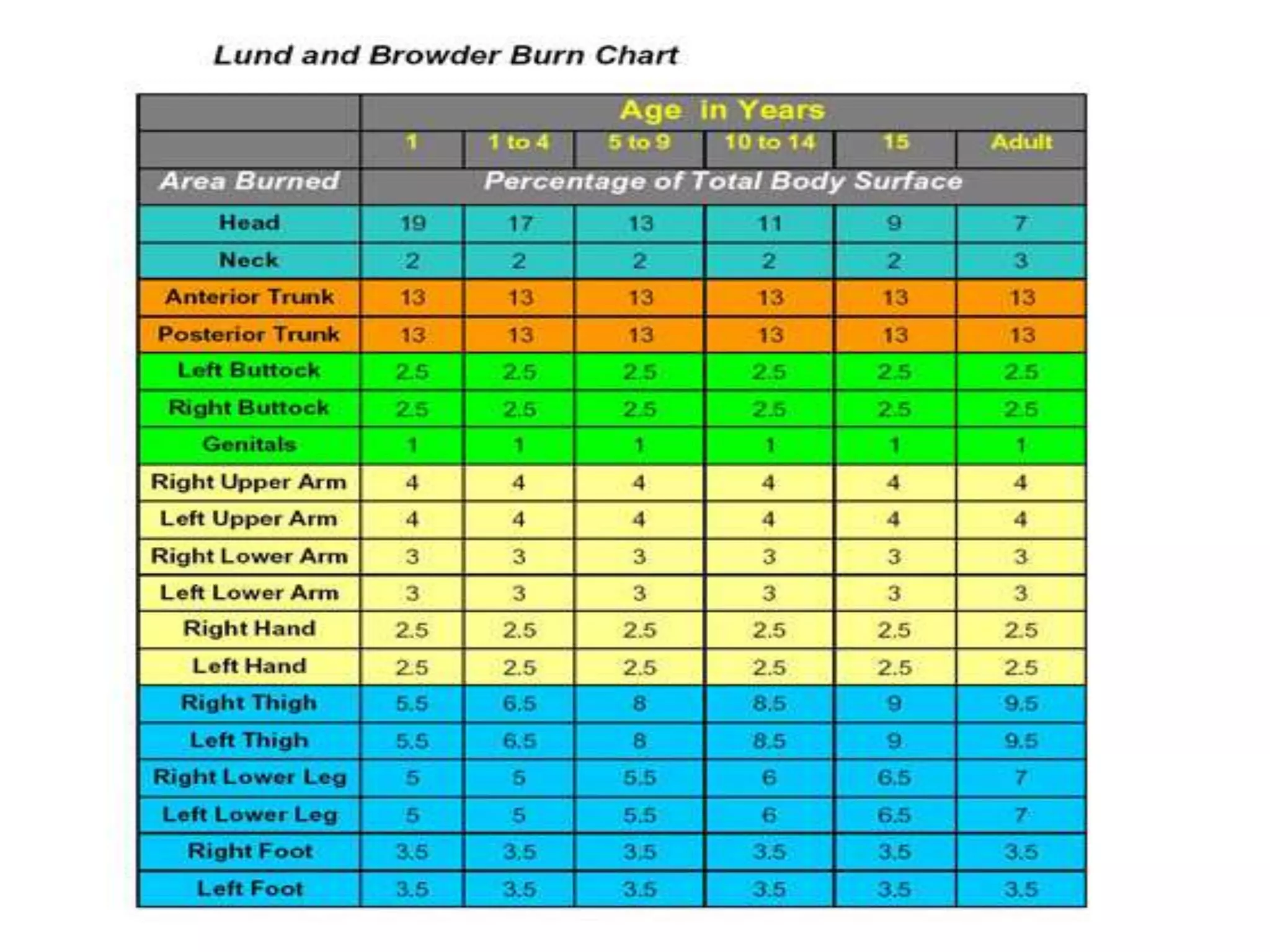 Burns in Children | PPTX