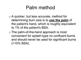 Burns in Children | PPTX