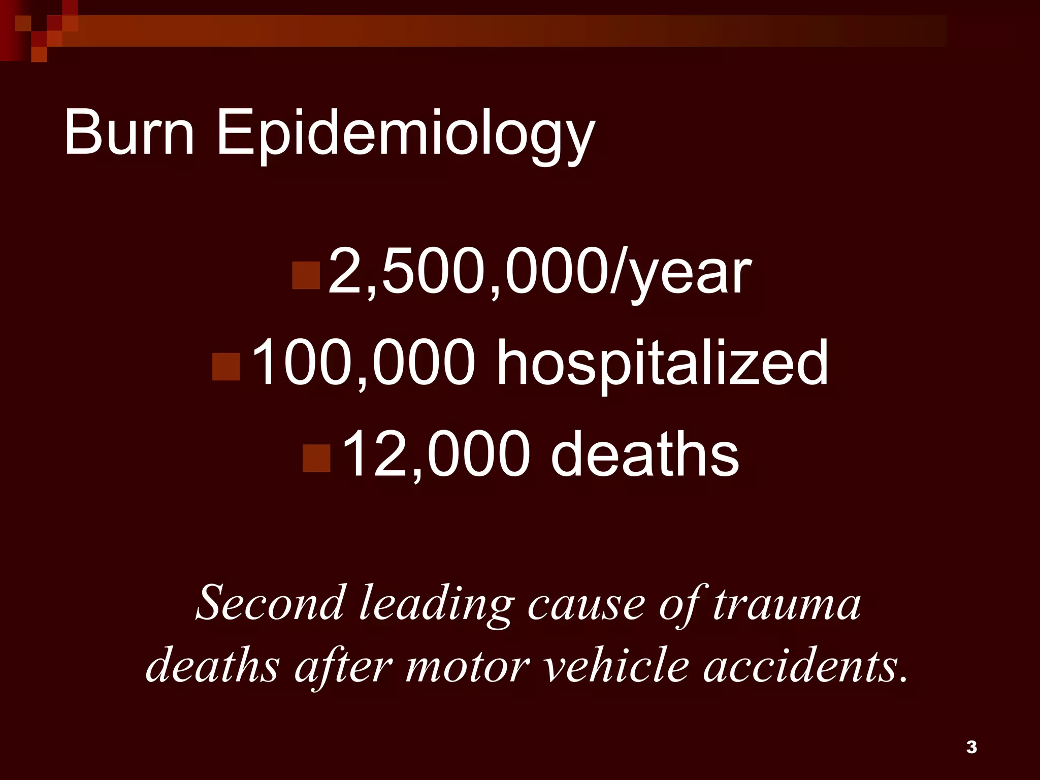 Burns ppt | PPT