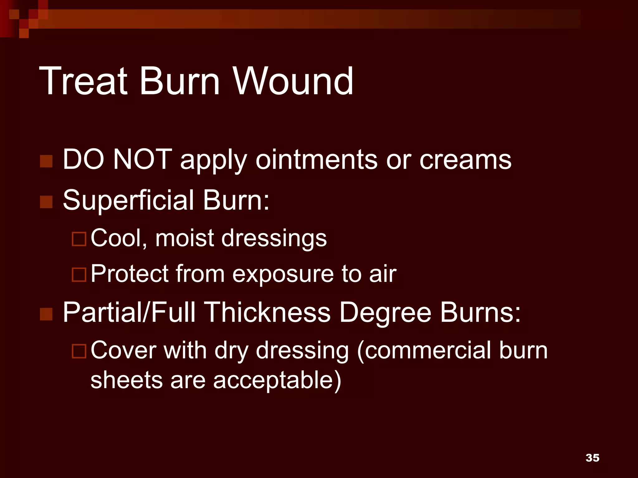 Burns ppt | PPT