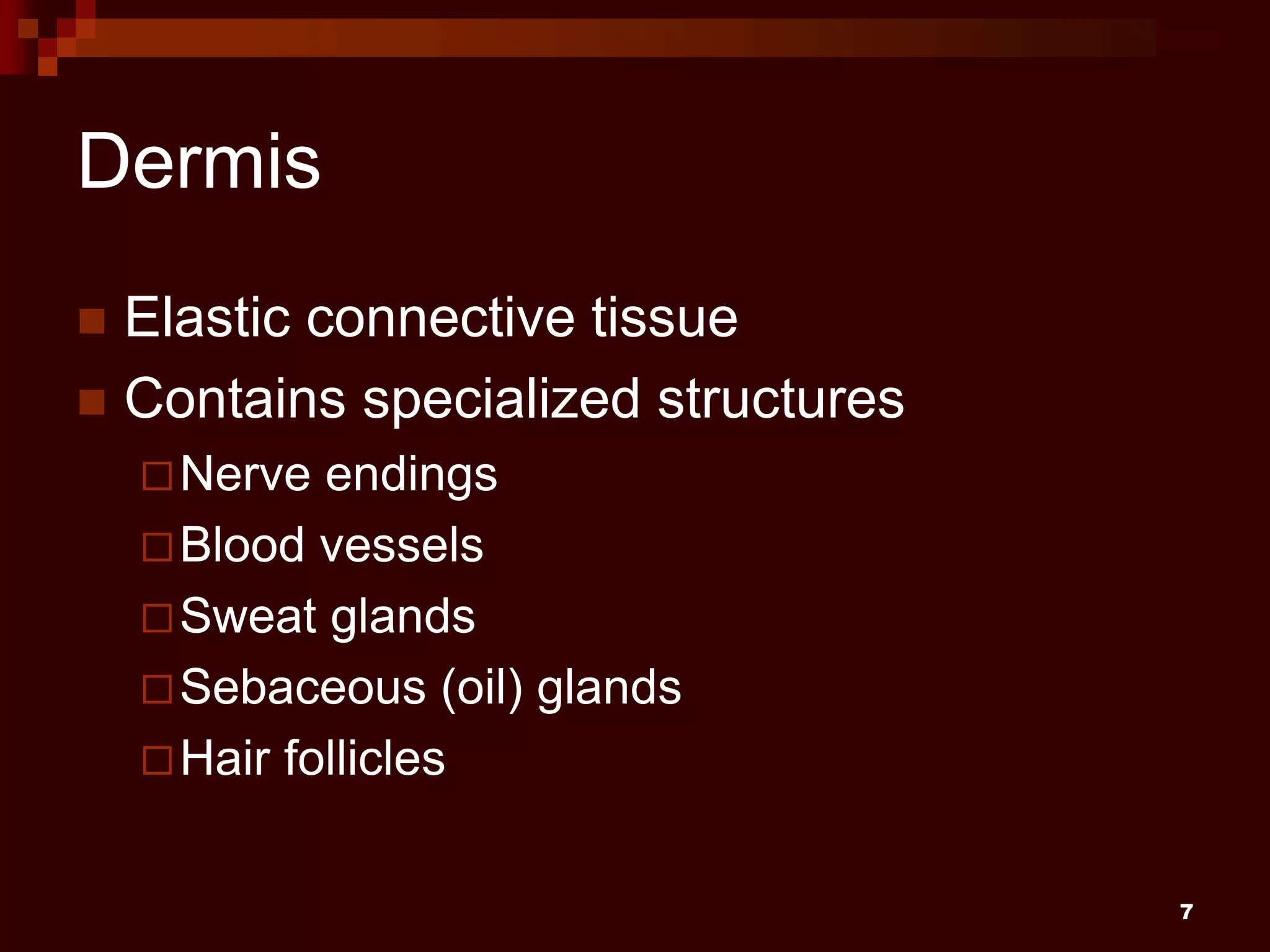 Burns ppt | PPT