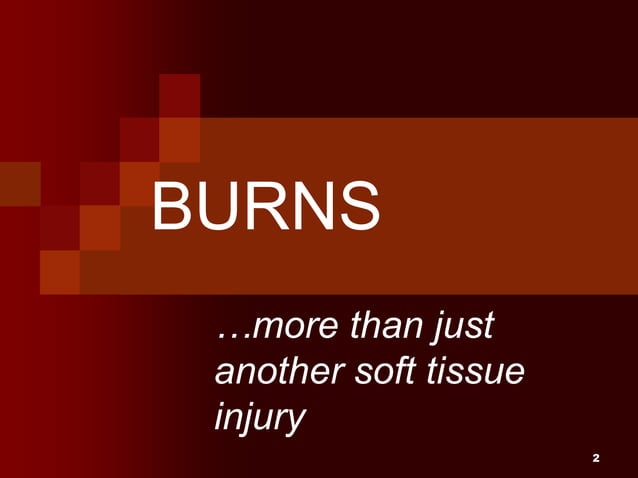 Burns ppt | PPT