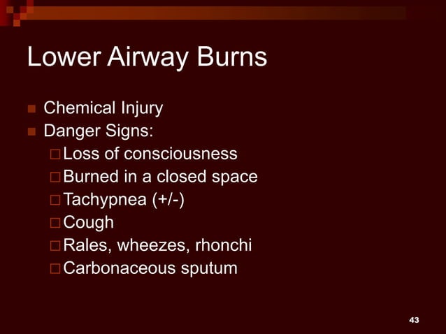 Burns ppt | PPT