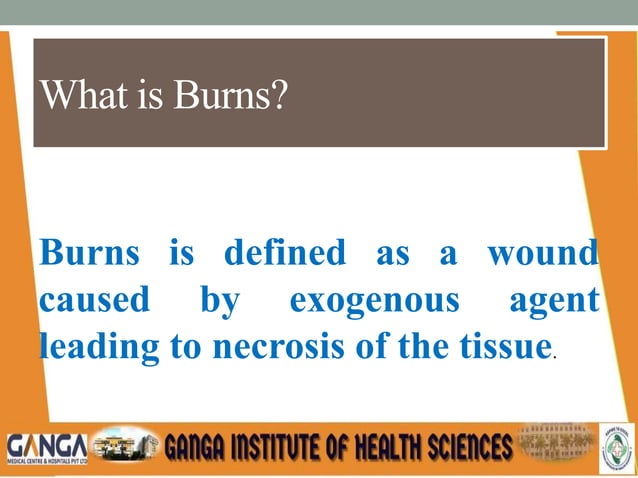 Burns ppt.pptx