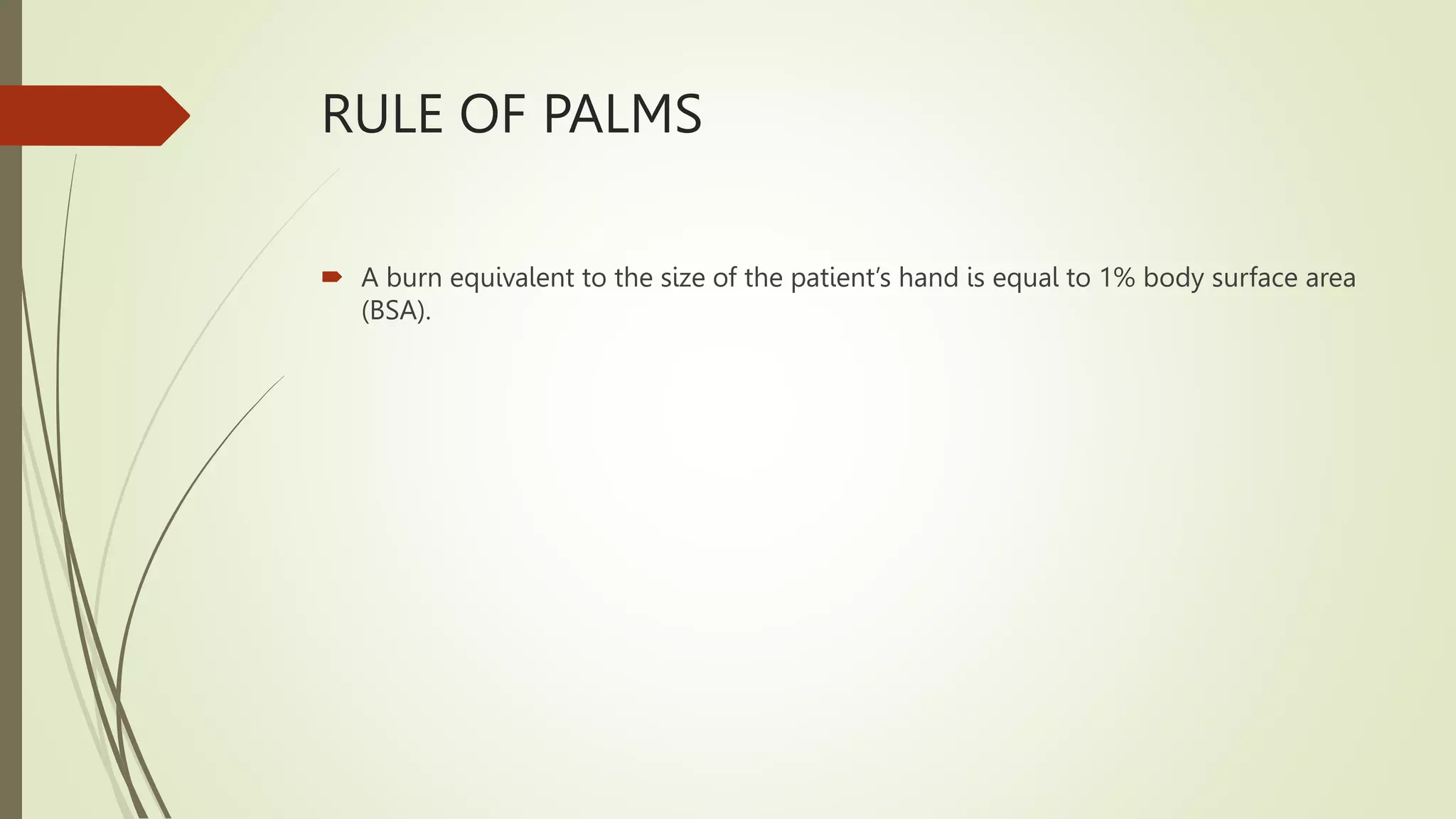 burns ppt.pptx