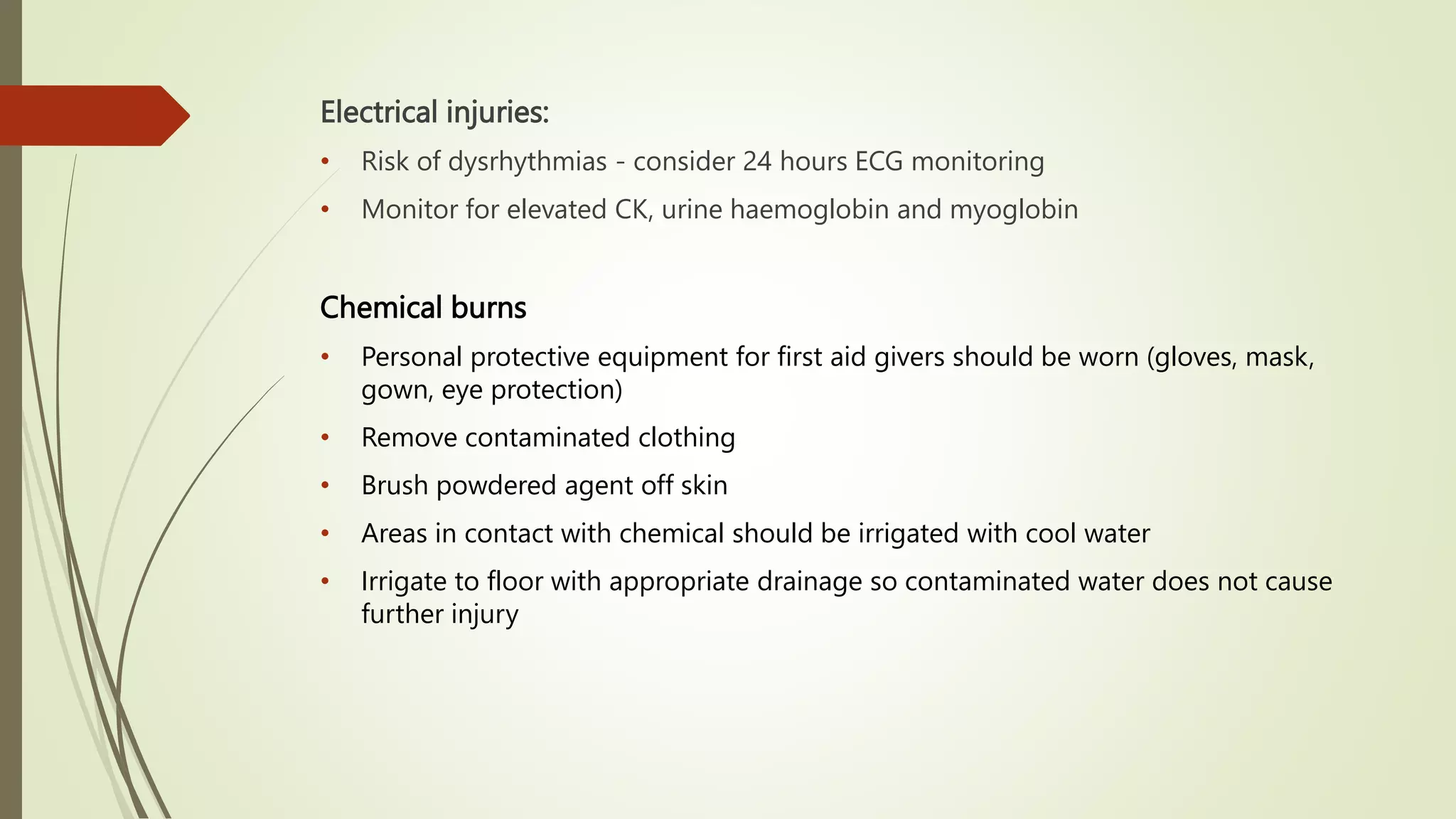 burns ppt.pptx