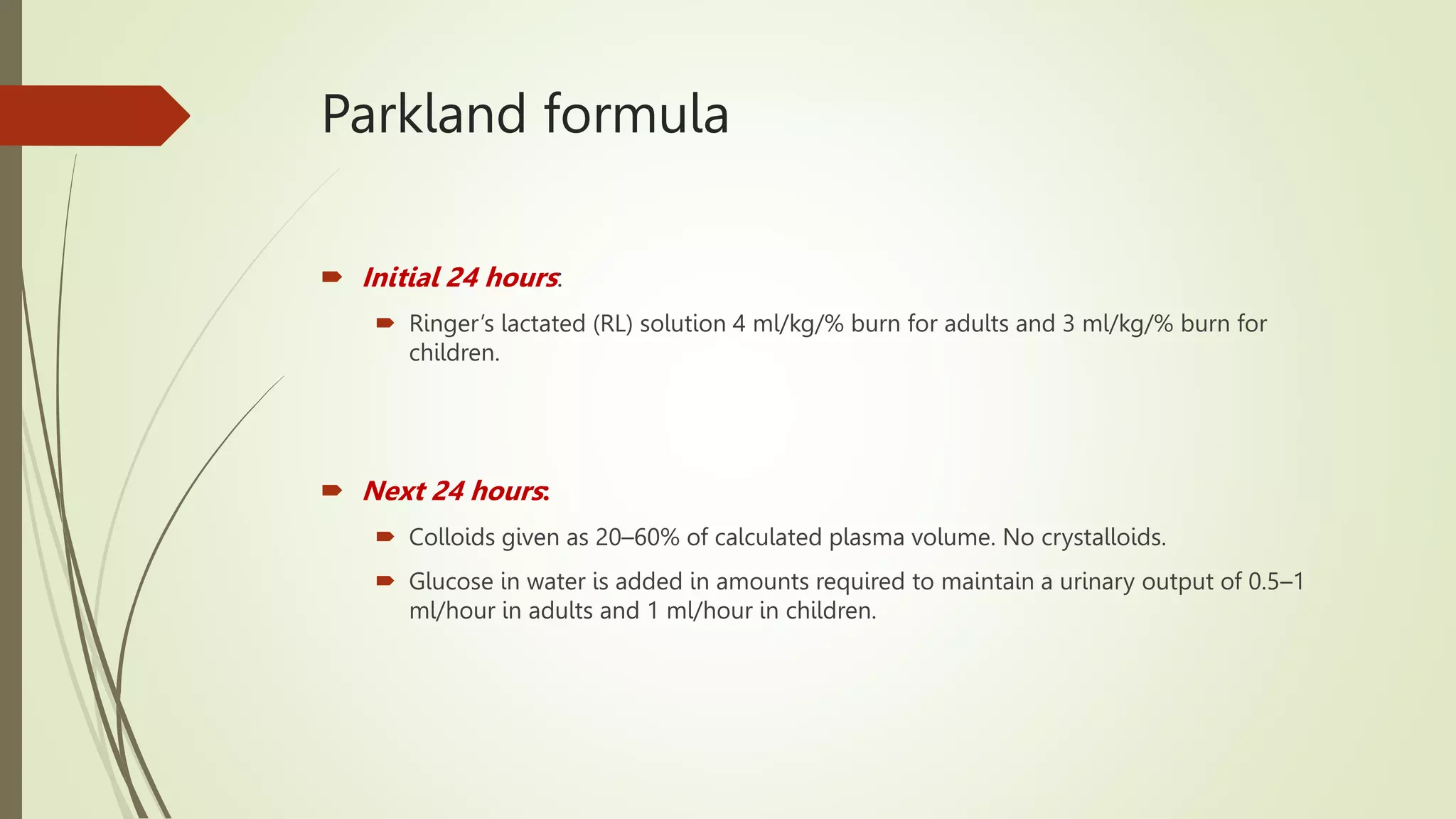 burns ppt.pptx