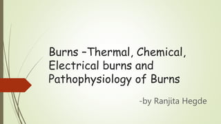 burns ppt.pptx
