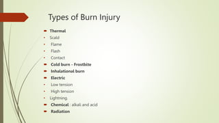 burns ppt.pptx