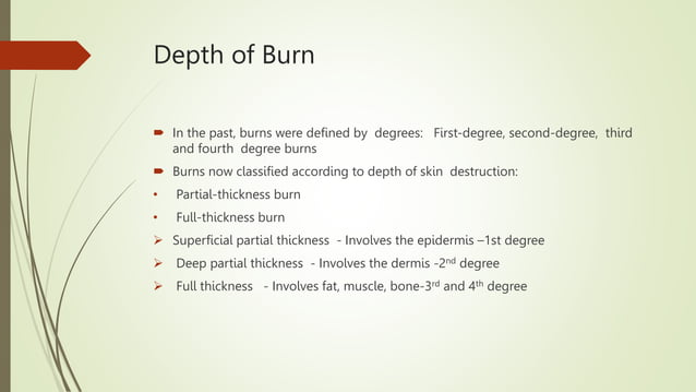 burns ppt.pptx