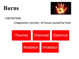 Burns ppt.pptx