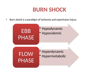 management of burns and its anesthetic mangement | PPTX