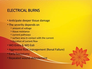 burns andits management ppt byMajtaniabose.ppt