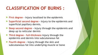 Burns presentation. | PPTX