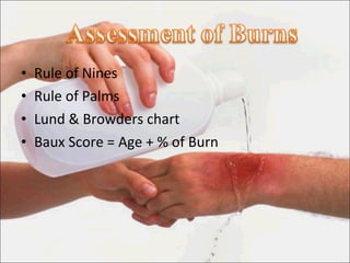 Pathophysiology, Nutritional Management of BURNS | PPT