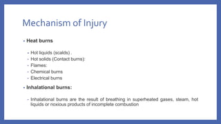 Burns Rehabilitation.pptx