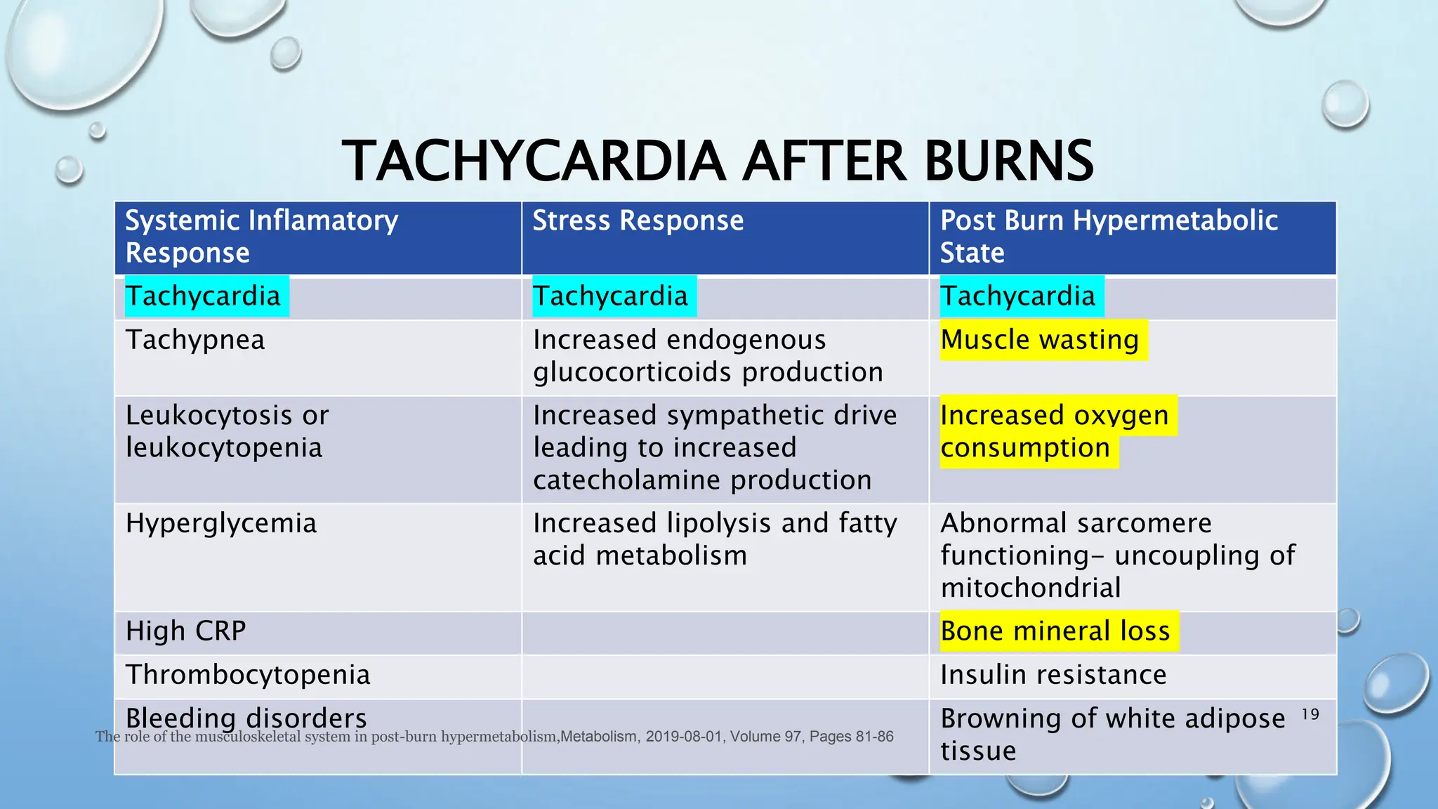 Burns Rehabilitation | PPTX